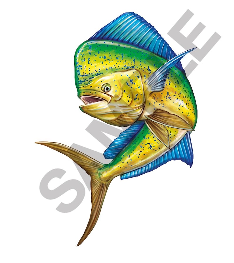 Mahi Mahi Dorado Action Shot Fish Fishing Big Game - Etsy