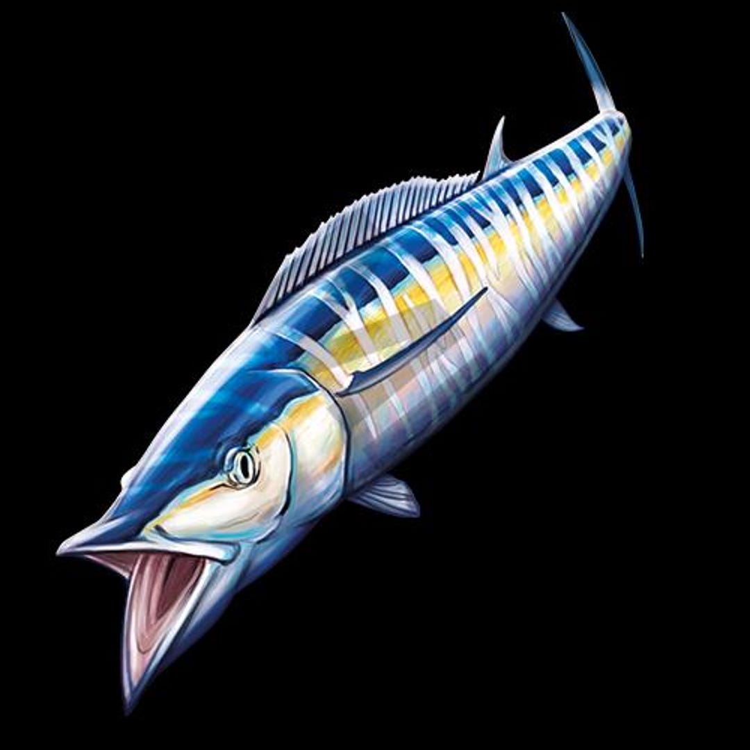 Wahoo Ono Action Shot Fish Fishing Big Game - Etsy