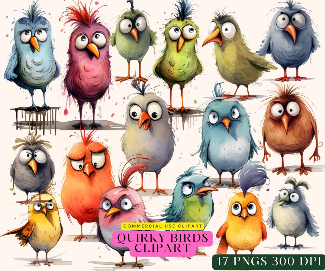 Quirky Birds Clipart, Funny Bird Clipart Bundle, Quirky and Funny Bird ...