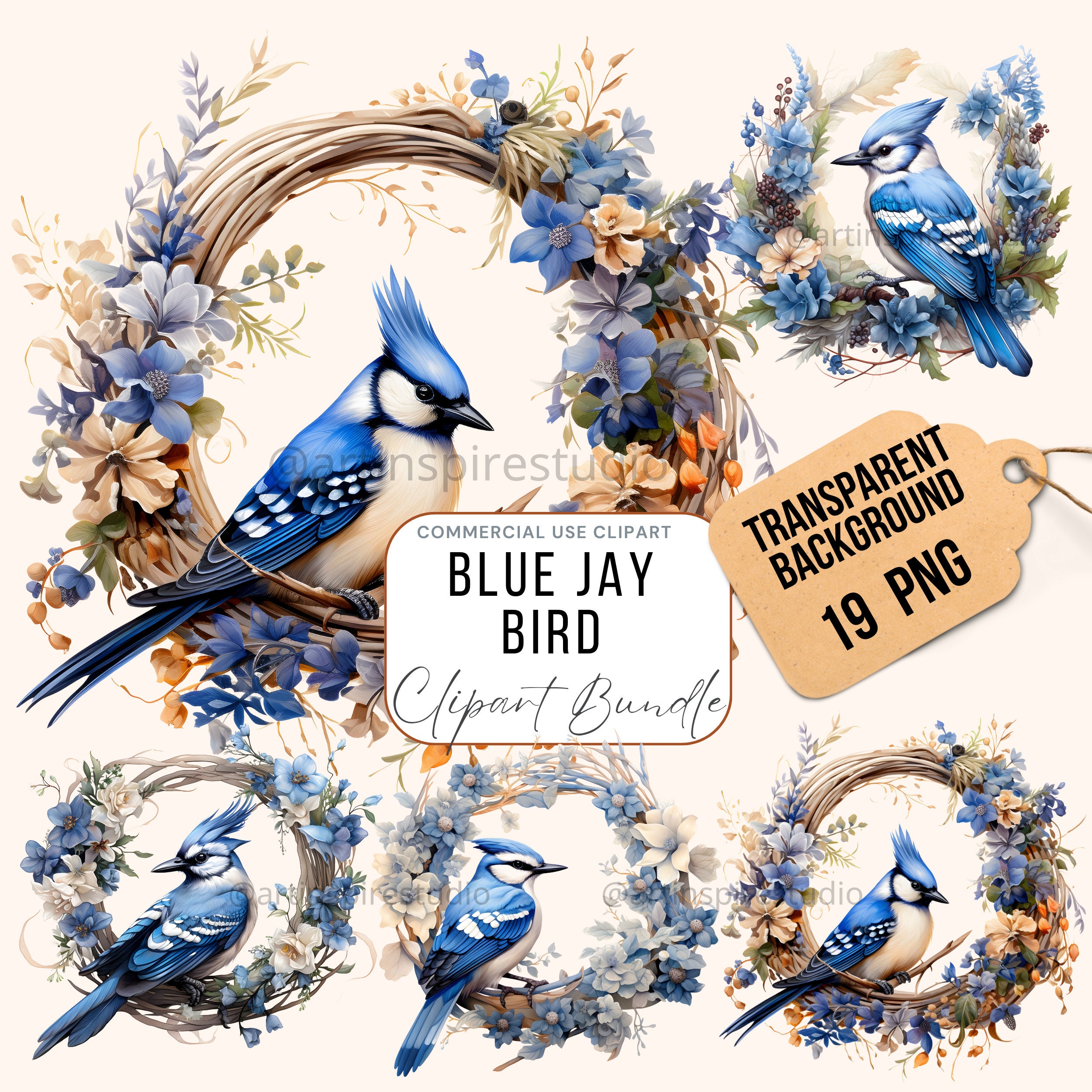 Watercolor Blue Jay Bird Clipart PNG Transparent Wreath Clipart ...