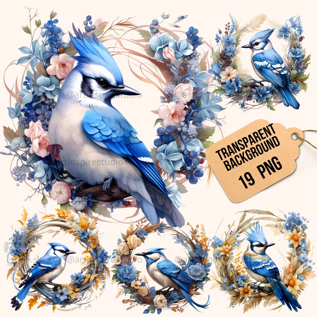 Watercolor Blue Jay Bird Clipart PNG Transparent Wreath Clipart ...