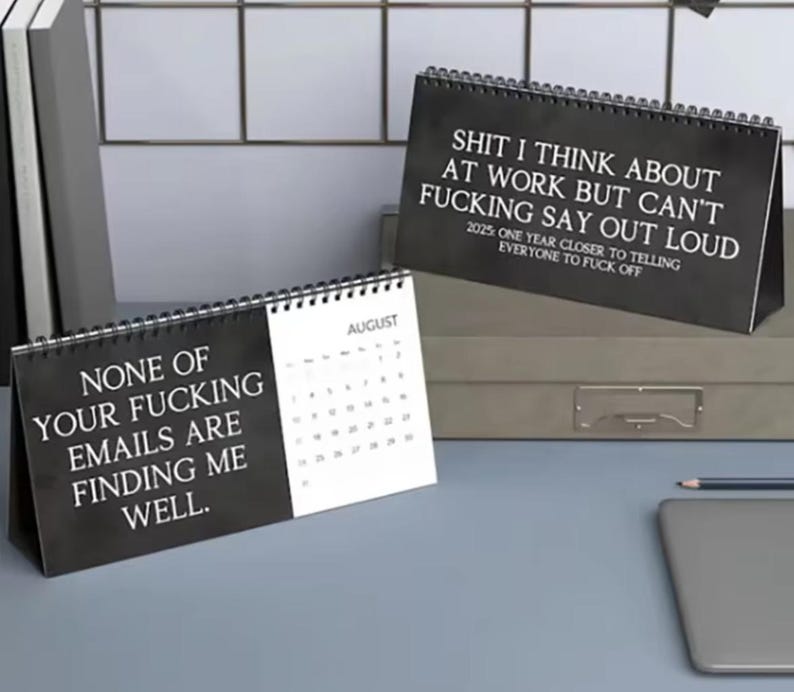 2025 Desk Calendar Mildly Inappropriate Funny Quotes Gift for Colleague ...