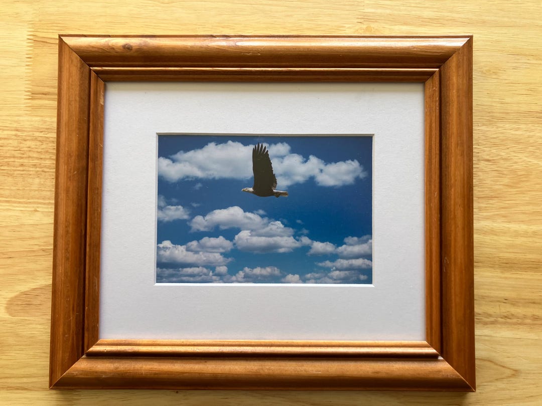 American Eagle Framed Photo - Etsy