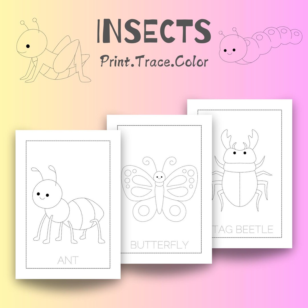 Insects Tracing and Coloring Book for Kids | 13 Pages | Trace, Color ...