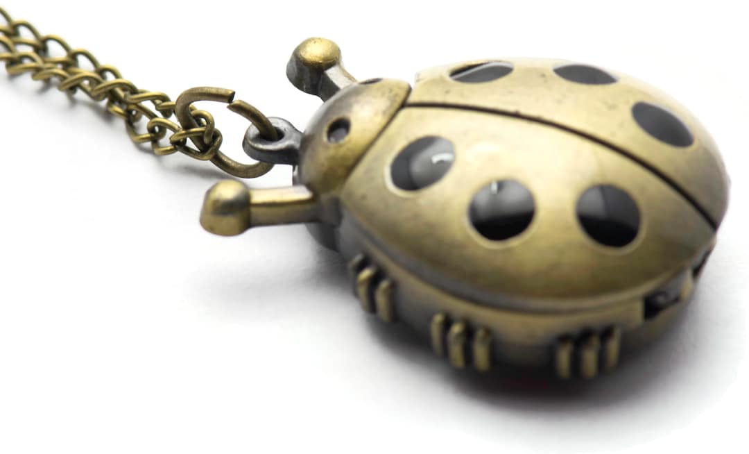 Ladybug Bronze Pocket Watch Long Necklace / Unique Watches / - Etsy