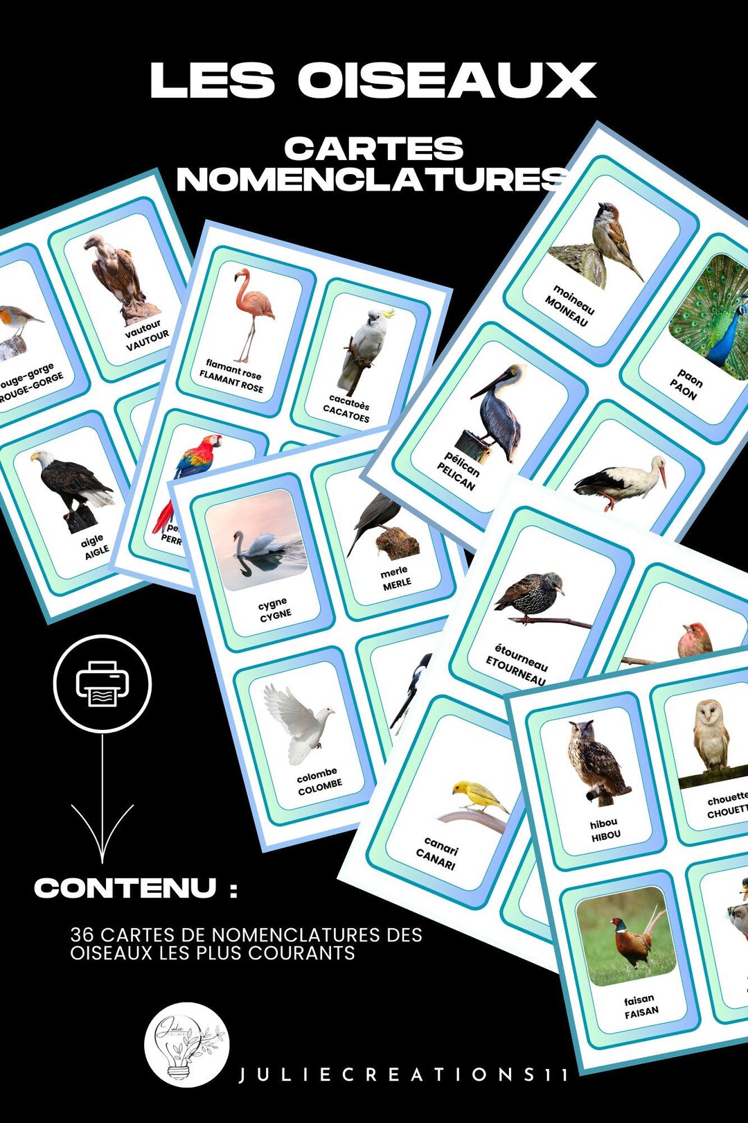 Common Birds: Nomenclature Cards - Etsy