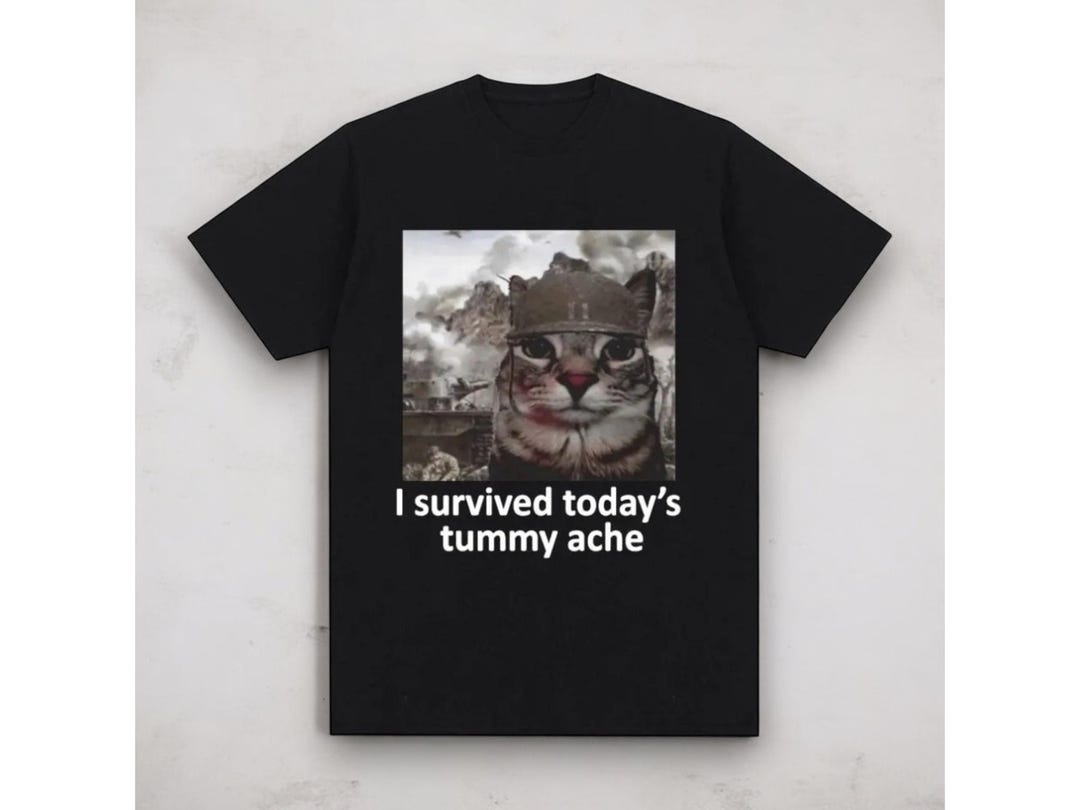 Cat Meme I Survived Today's Tummy Ache Funny T-shirt, Tummy Ache Shirt ...