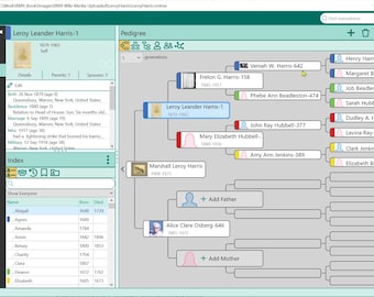 Family Data Sheet | Printable Excel or PDF Doc | Genealogy Family Tree ...