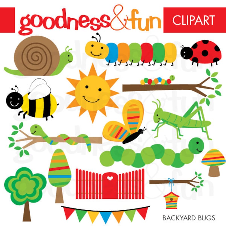 Backyard Bugs Clipart Digital Bug & Insect Clipart Instant Download - Etsy
