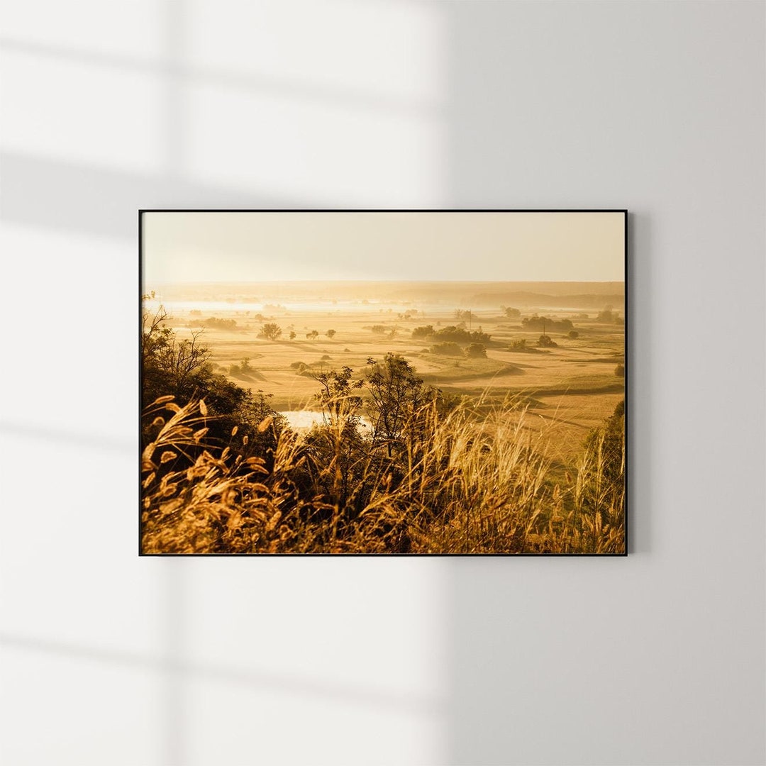 Golden Dawn in the Field, Cozy Photo Decor for Home, Fields at Dawn ...