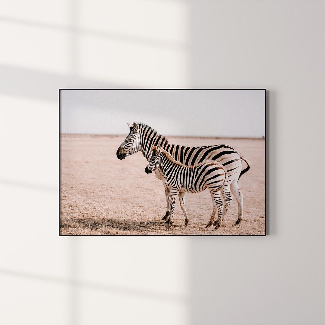 Printable Zebras Photography, Savanna Large Wall Art, African Safari ...