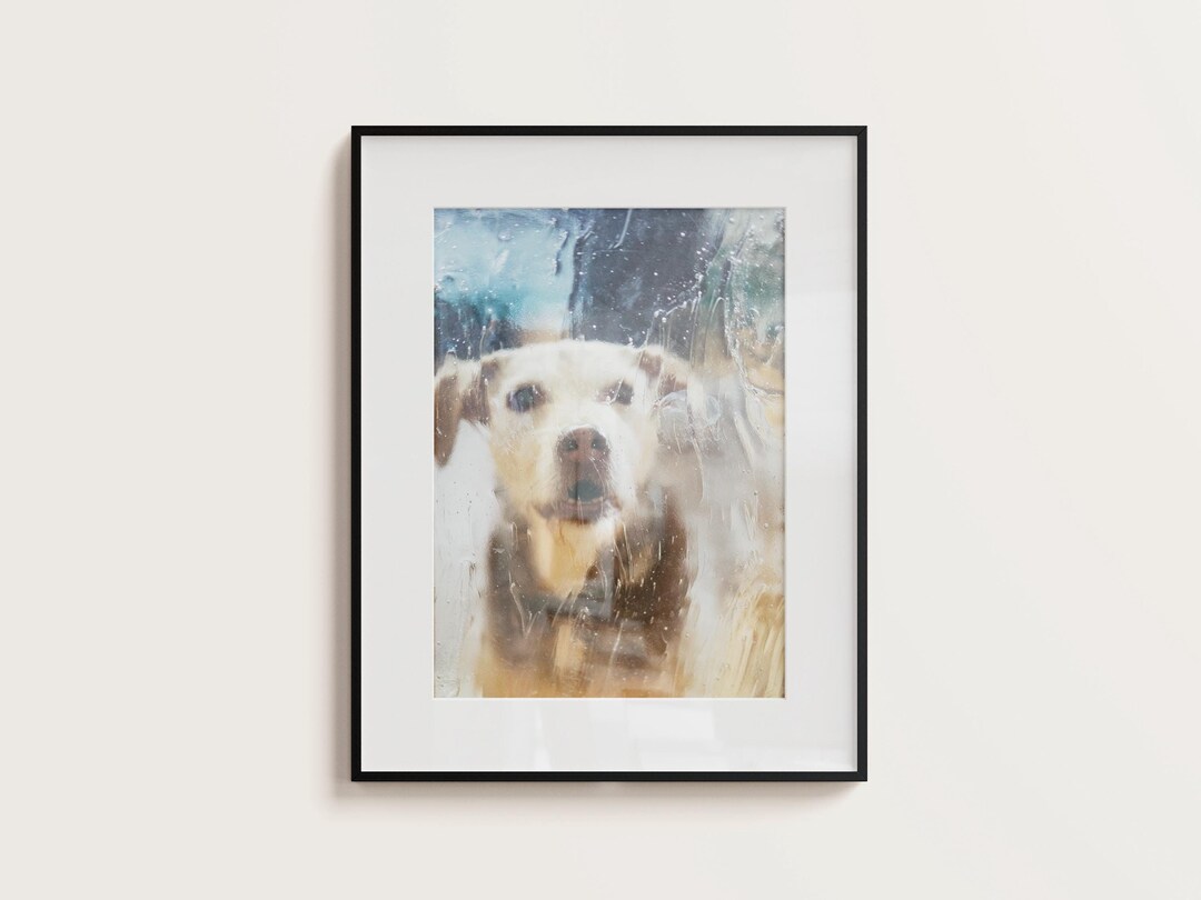 Dog Portrait, Funny Dog Poster, Digital Download, Printable Wall Art ...