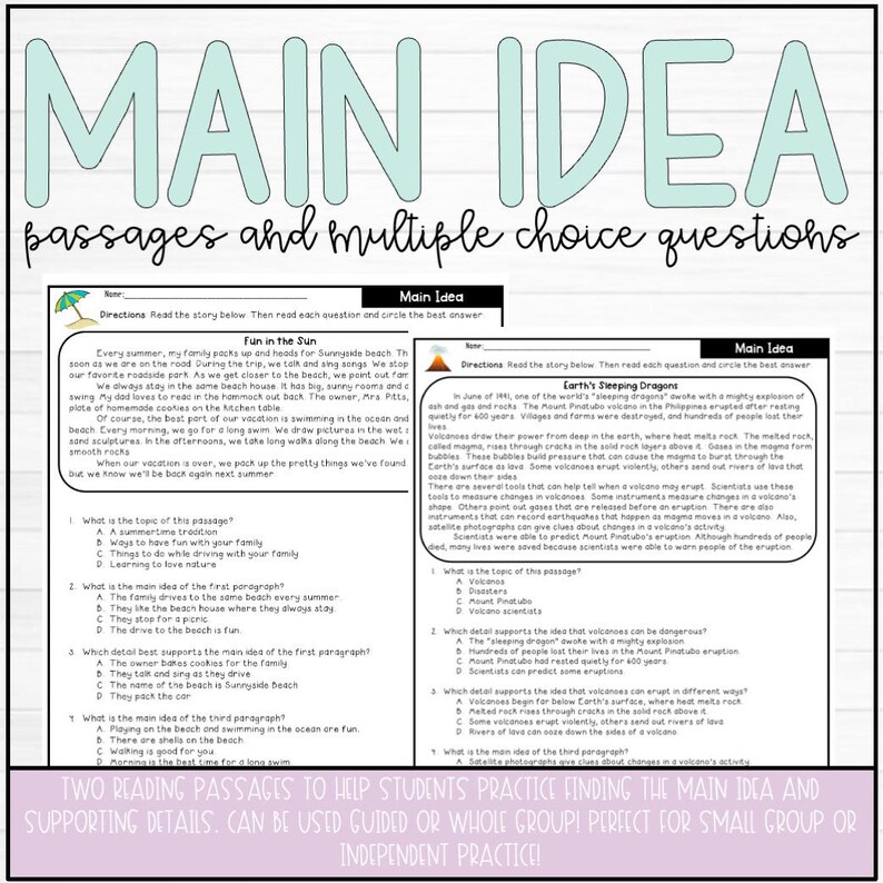 Main Idea Reading Passages - Etsy