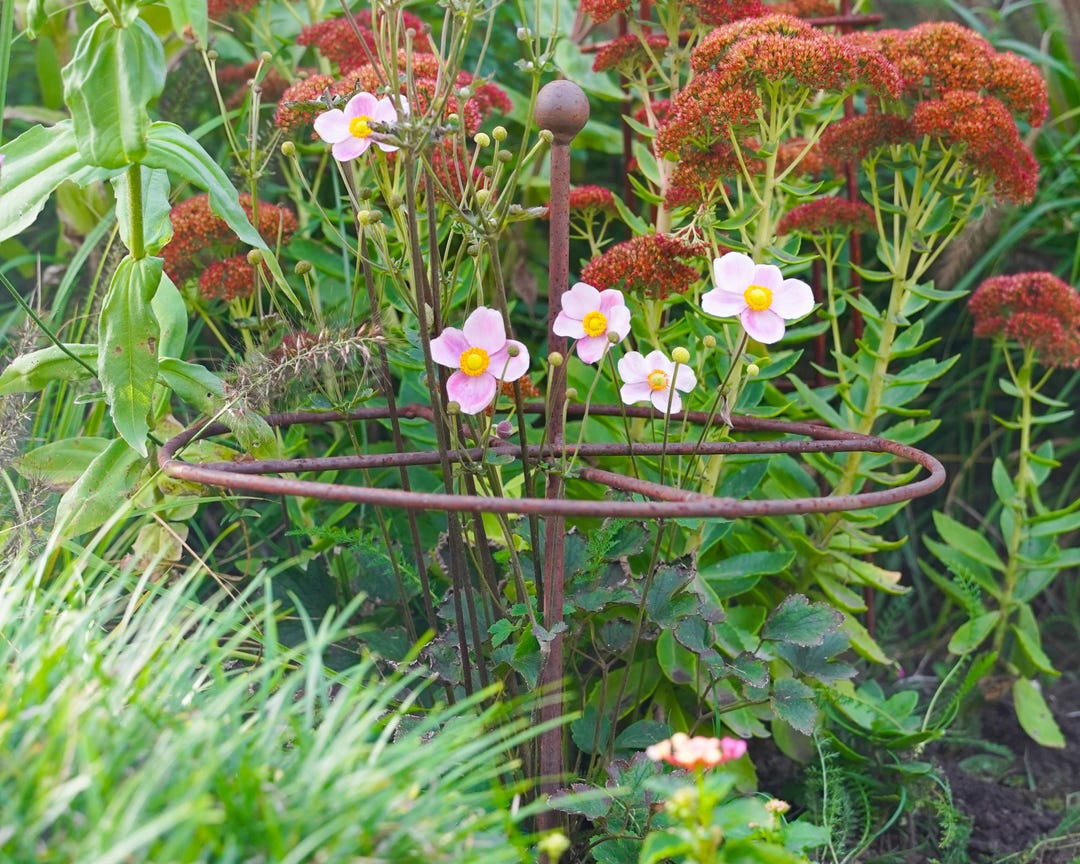 Metal Go-through Plant Stake: Helicopter Style, Keeps Tall-stemmed ...