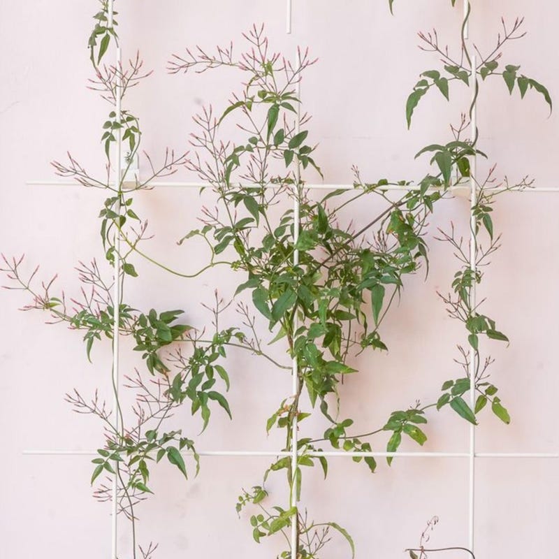 Modern Metal Trellises - Etsy