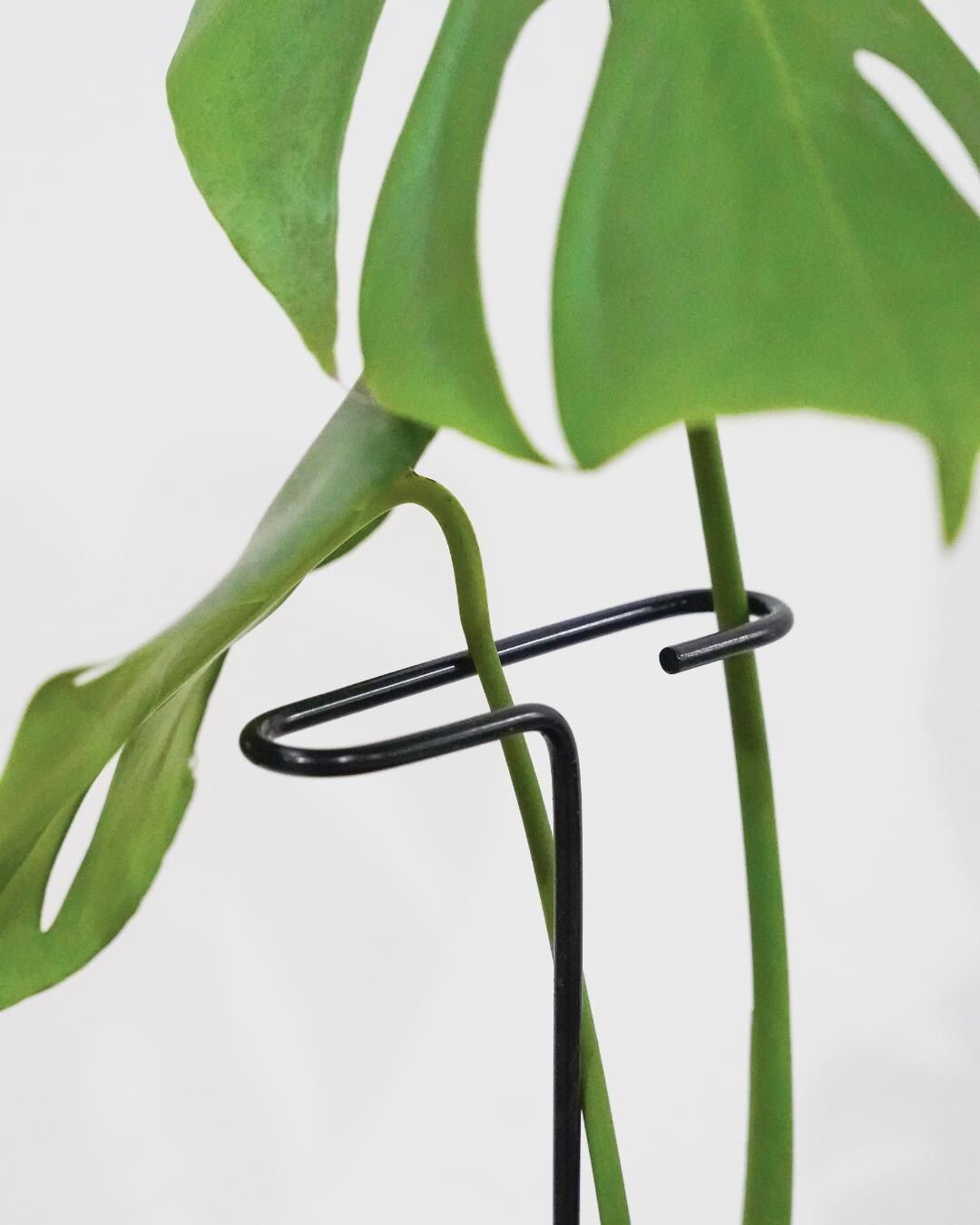 Mini Plant Stakes for House Plants | Plant Decor | Perfect Gift | Metal ...