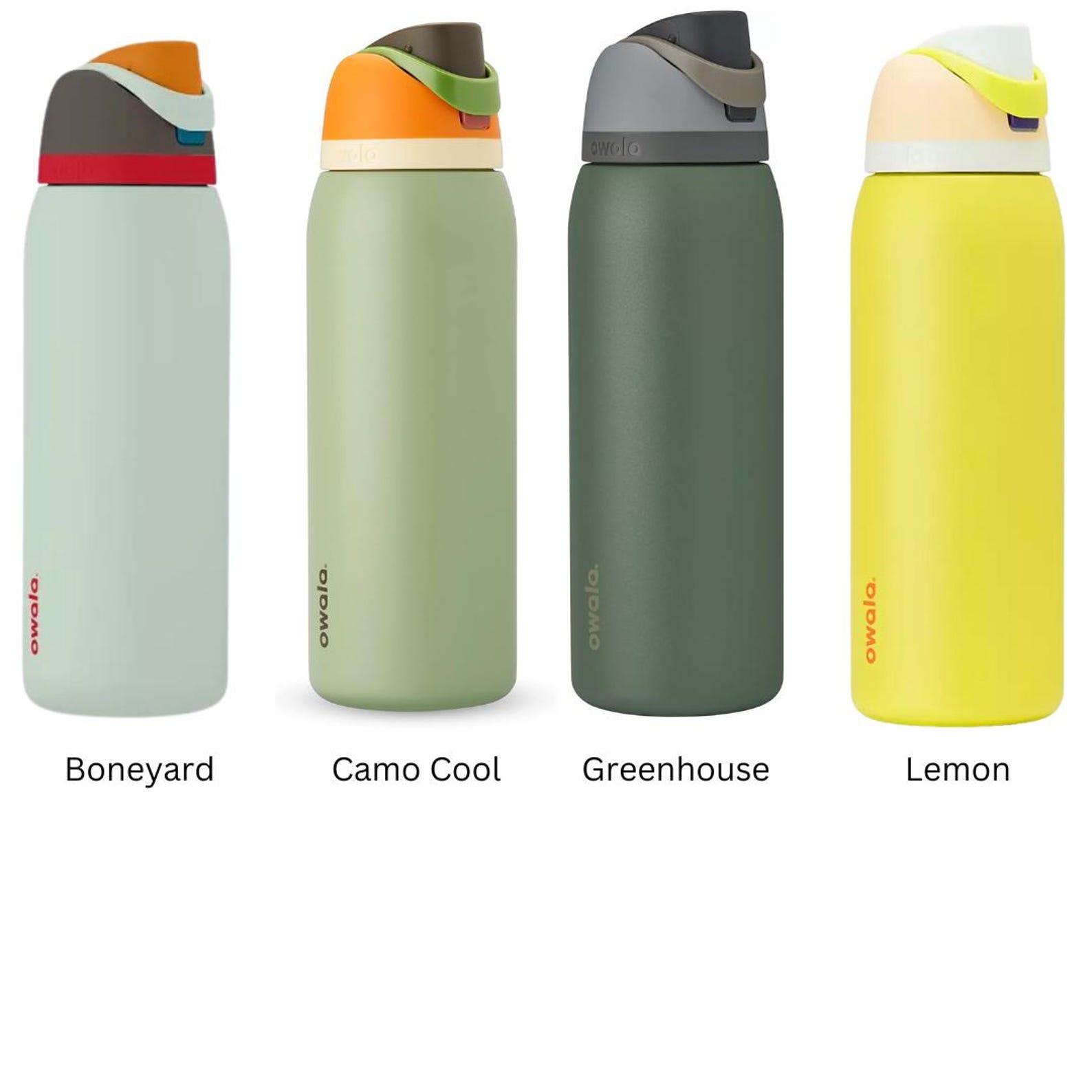 Laser Engraved Owala Water Bottle: Pickle Pattern - Gift for Pickle ...