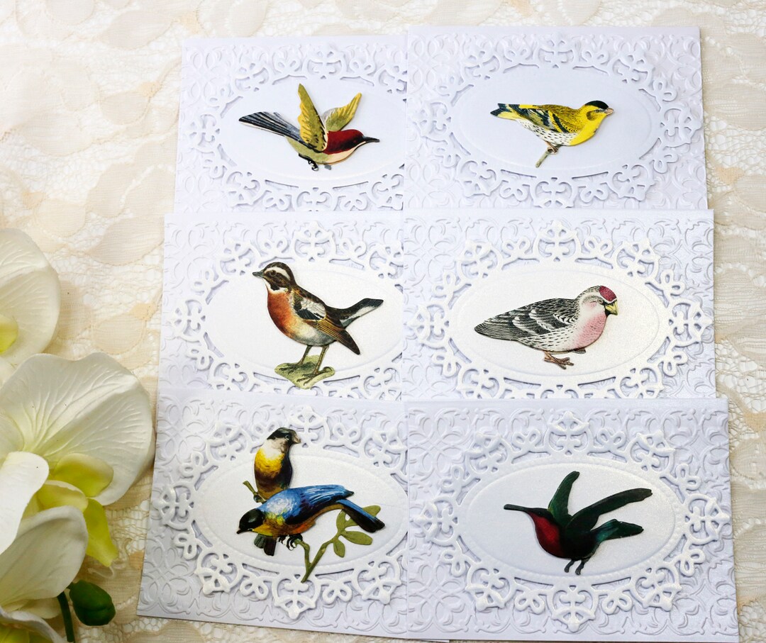 Birds Cards, 6 Blank Cards Set, for Bird Lovers, Thank You, Invitation ...