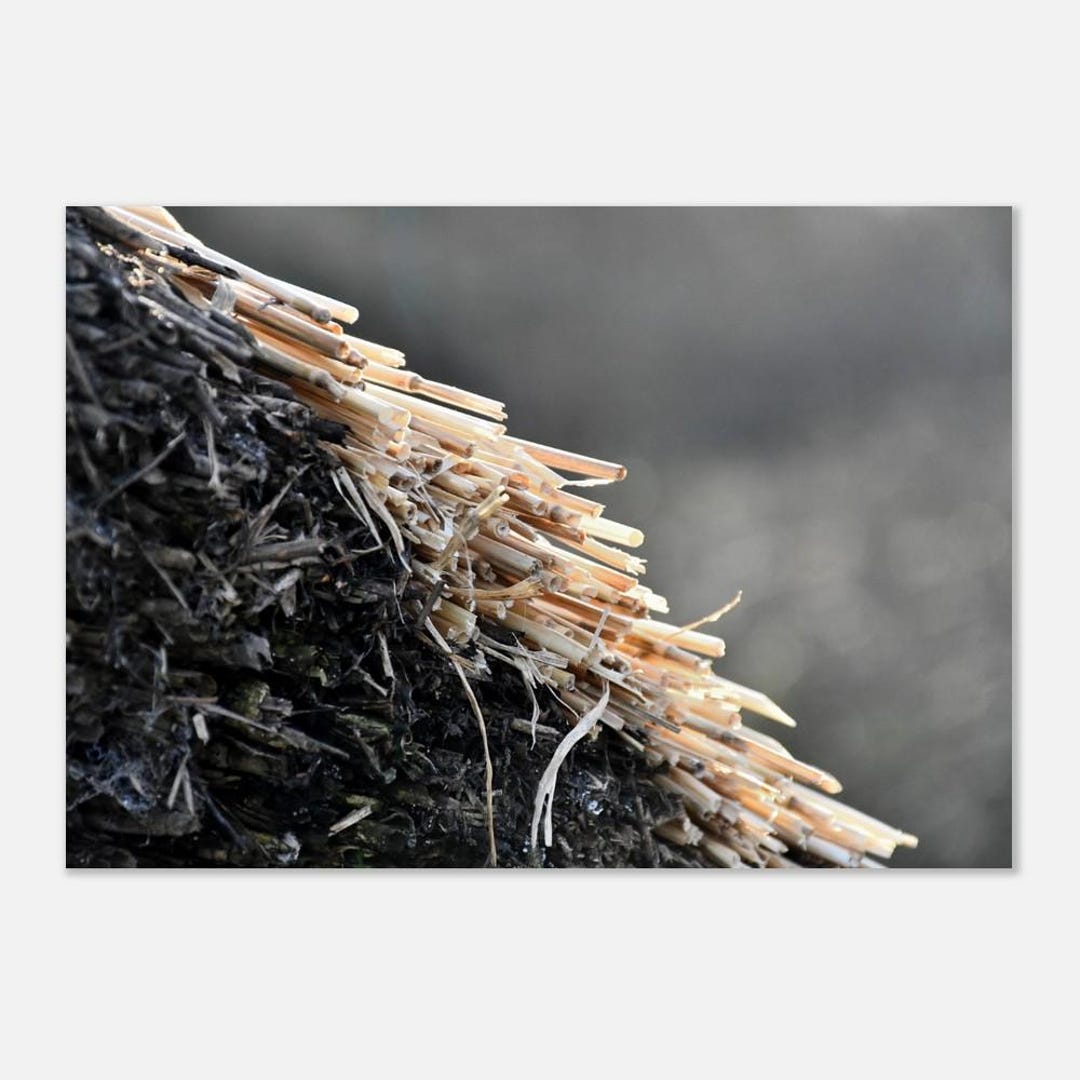 Layered Legacy: the Traditional Art of Thatching - Etsy