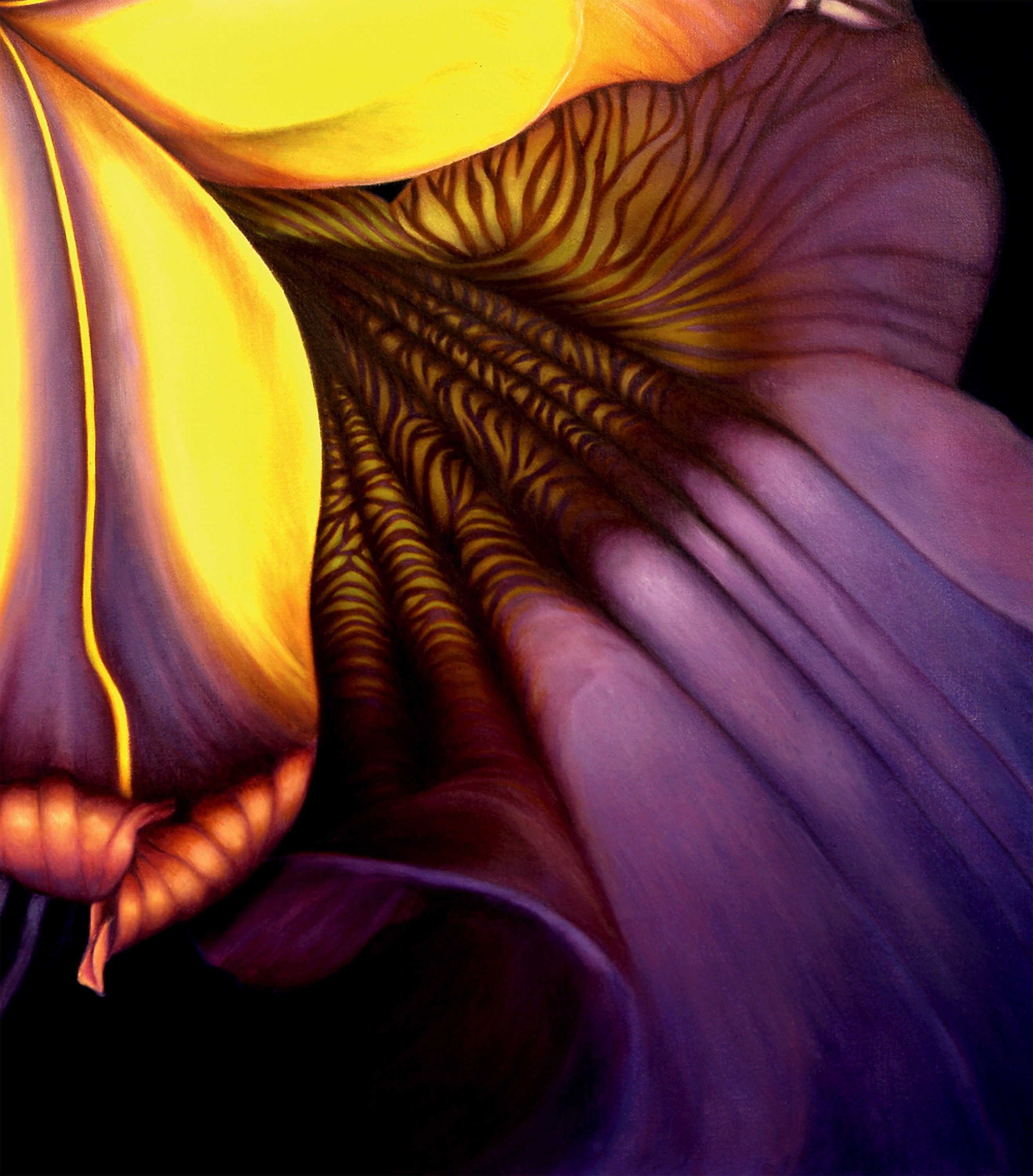 Goldie's Iris, Georgia O'keeffe Inspired Large Flower Painting Byanni ...