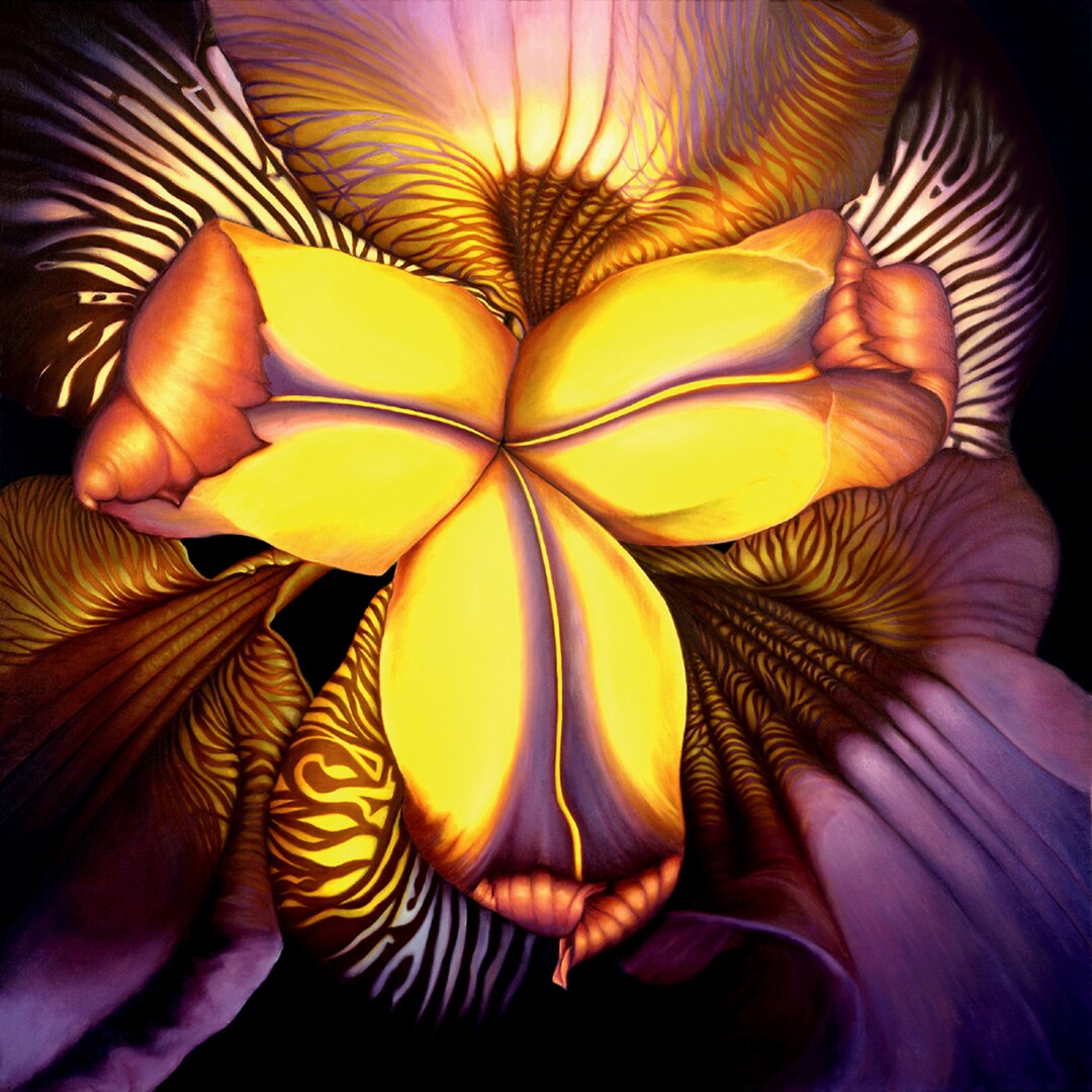 Goldie's Iris, Georgia O'keeffe Inspired Large Flower Painting Byanni ...