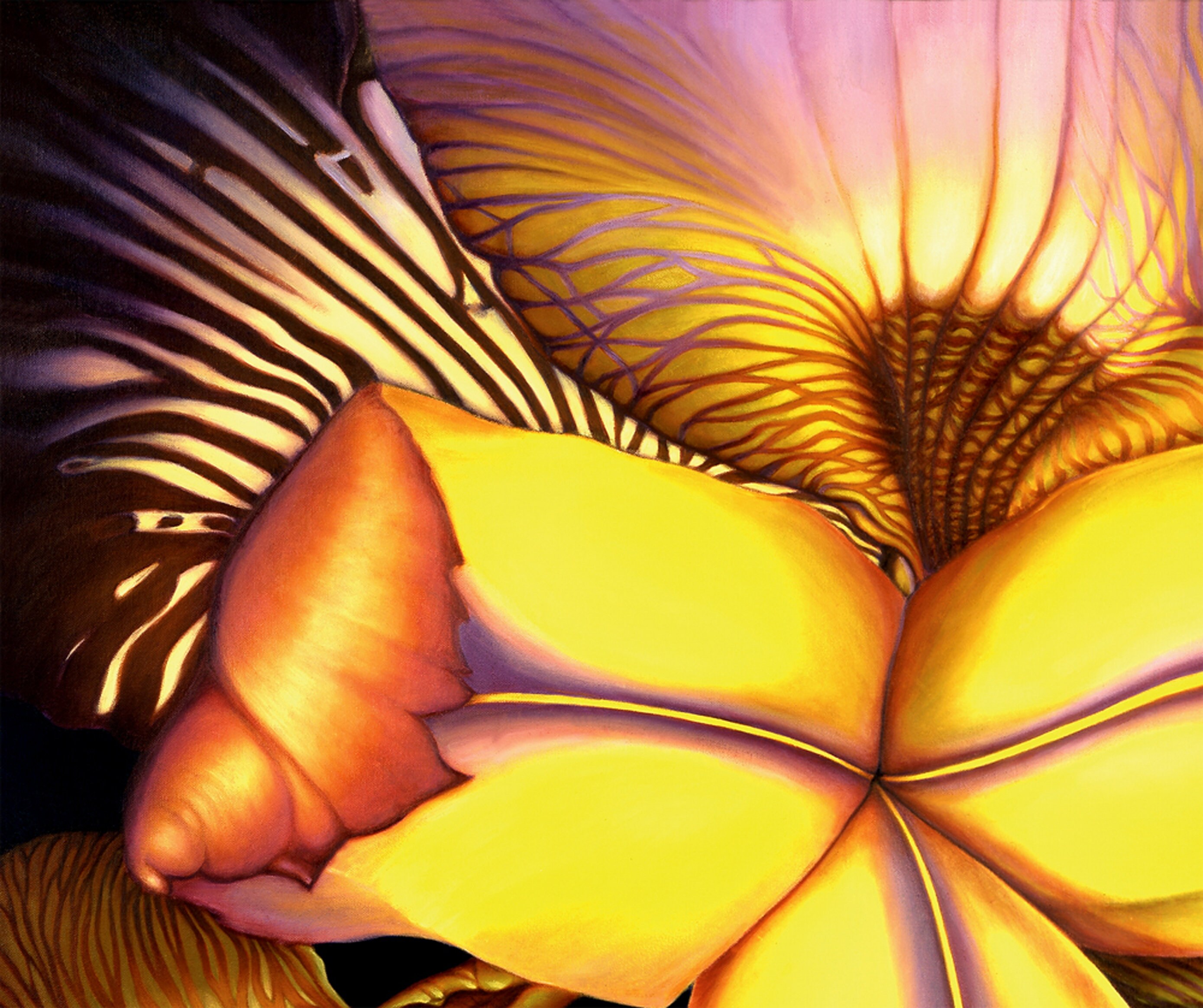 Goldie's Iris, Georgia O'keeffe Inspired Large Flower Painting Byanni ...