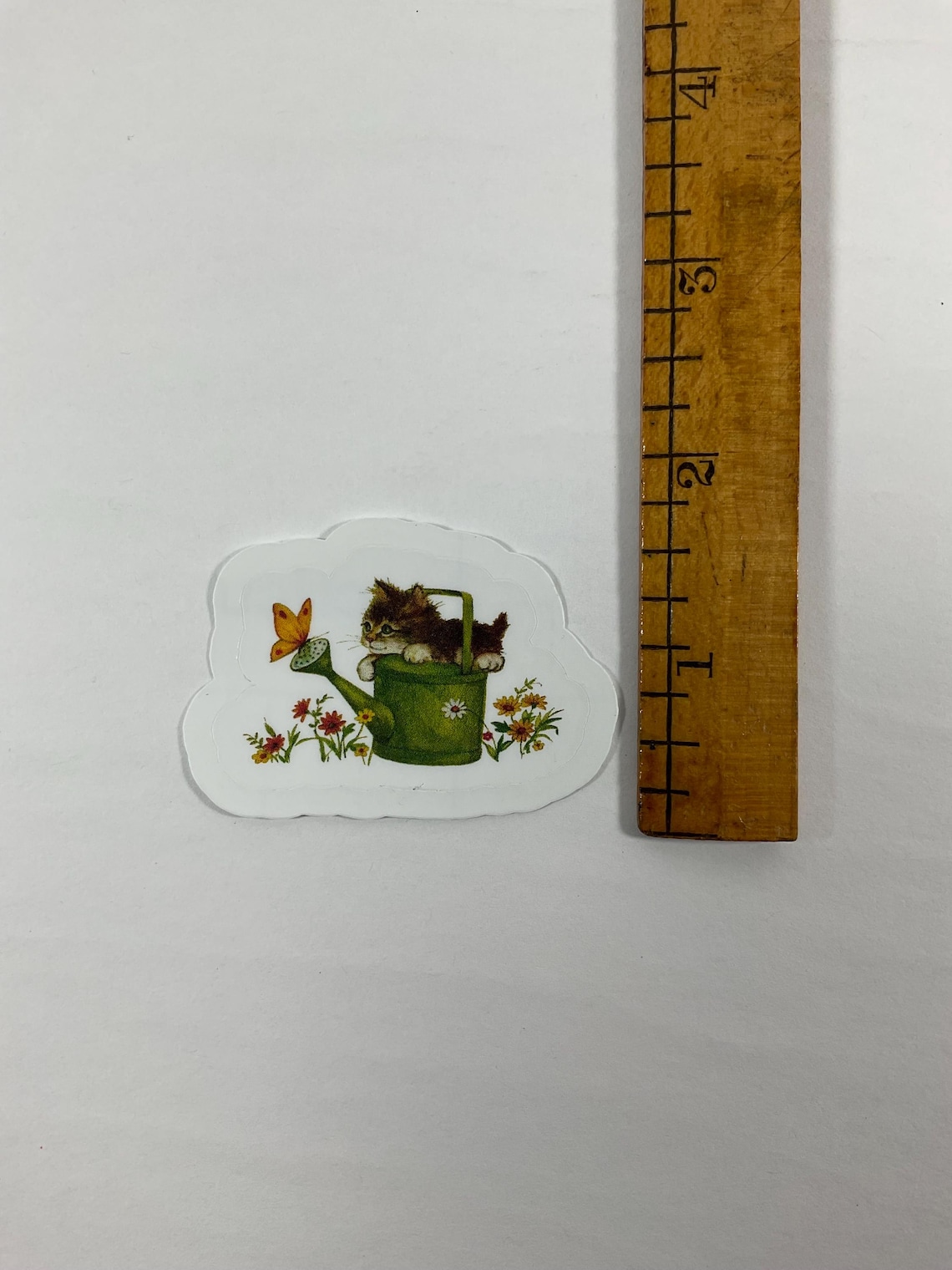 Kitten Cat on Watering Can With Butterfly Retro Vintage Style Sticker ...