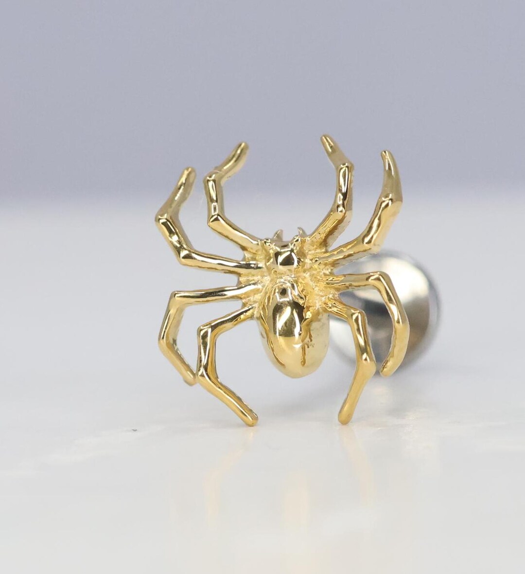 Titanium ASTM F136 (in02) Tarantula, Spider Gold Plated Internally ...