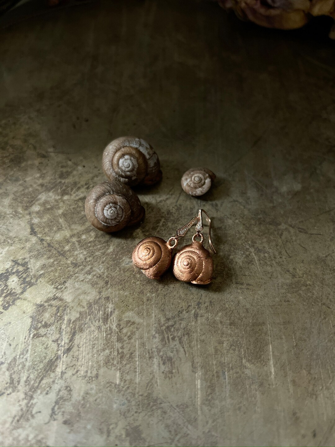 Electroplated-real Snail Shell Dangle Earrings-encapsulated Natural ...