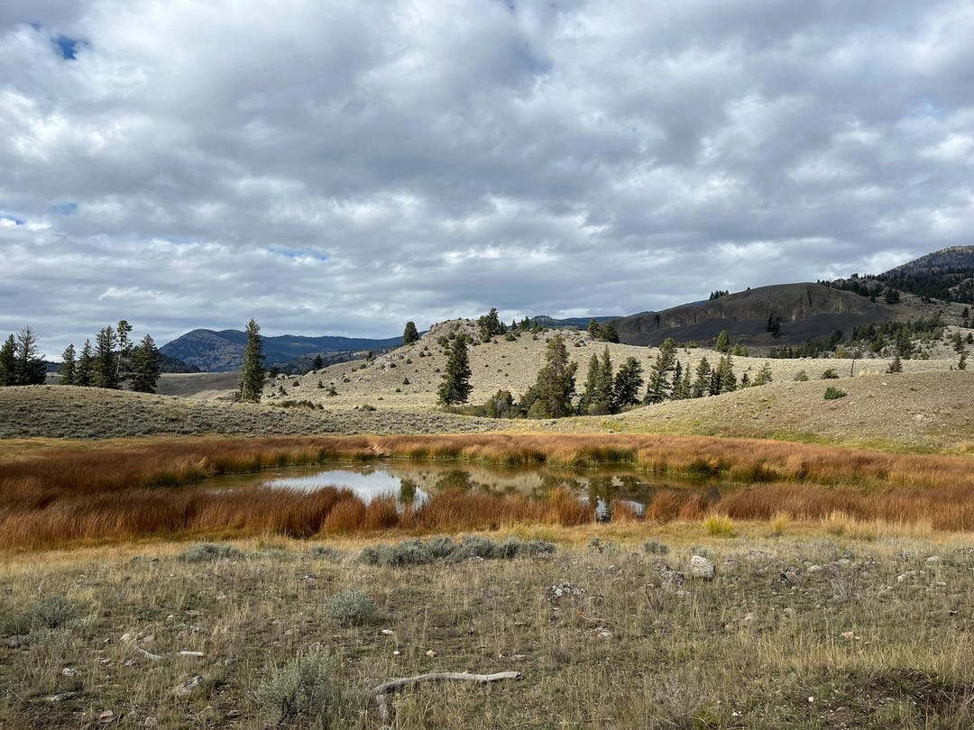 Pond on Hellroaring Trail, Yellowstone National Park - Etsy