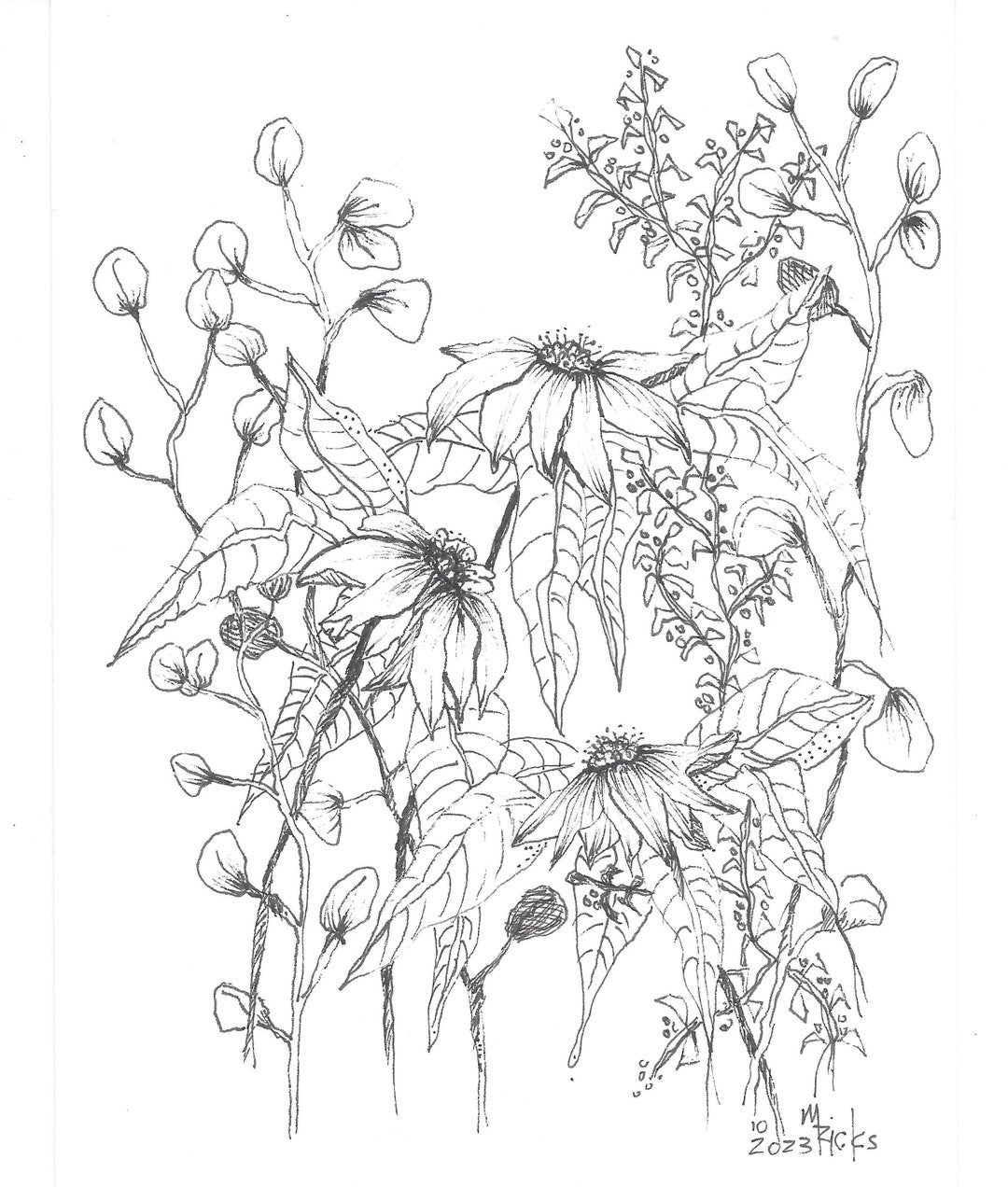 Black and White Floral Ink Drawing - Etsy