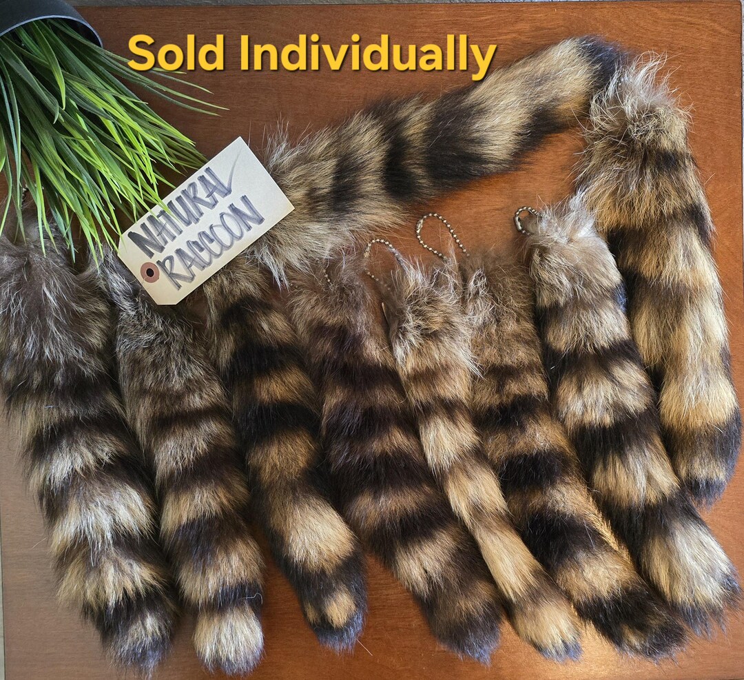 Natural Raccoon Tail | Keychain | Handbag Accessory | Dark and Light ...