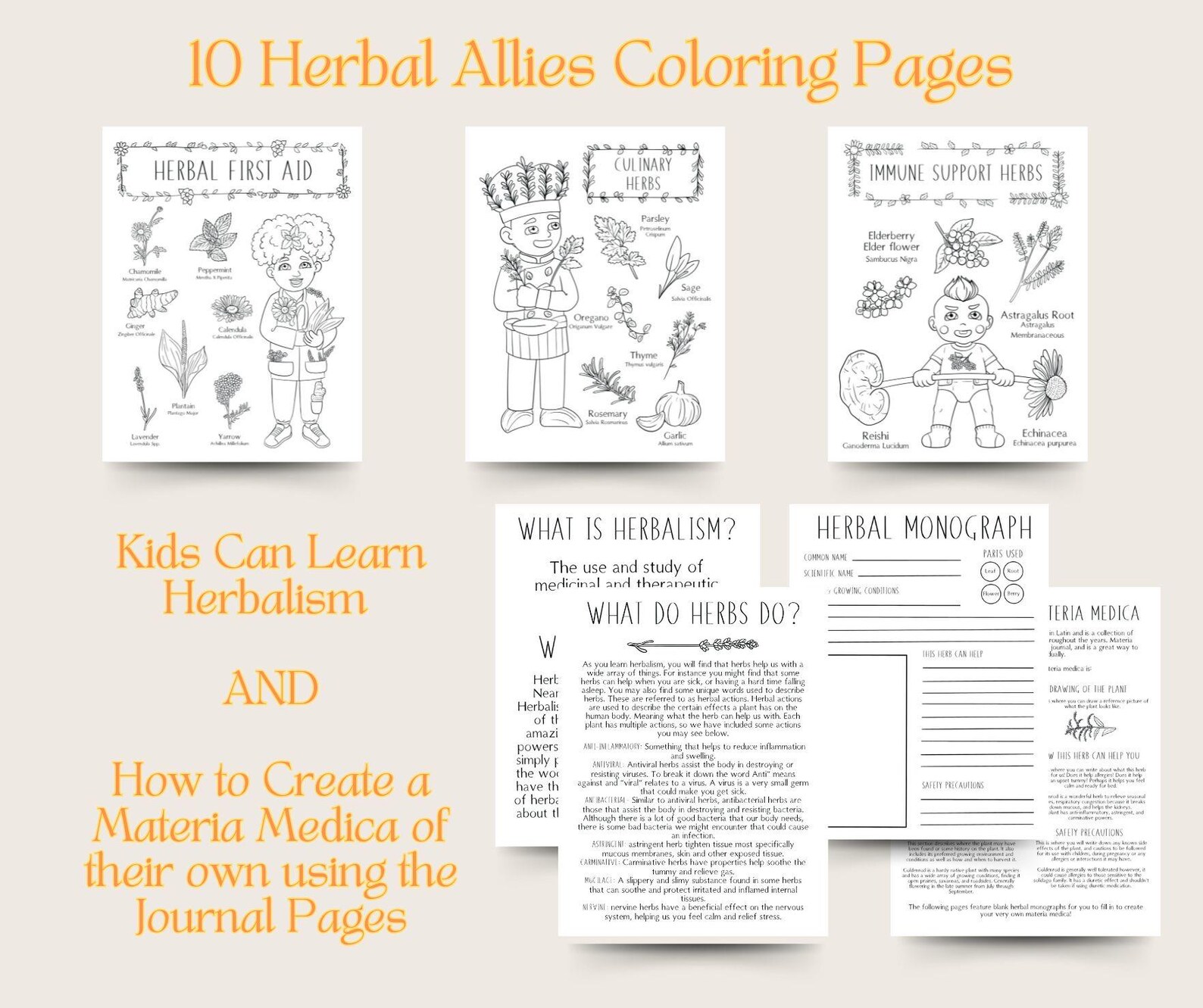 Herbal Allies Kids Activity Book | Learning Herbs | Herbal Homeschool ...
