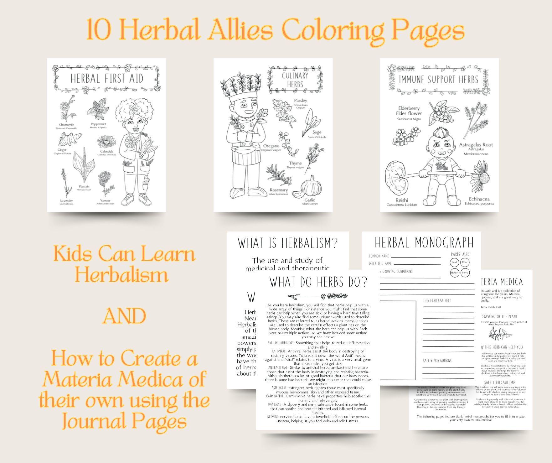 Herbal Allies Kids Activity Book | Learning Herbs | Herbal Homeschool ...