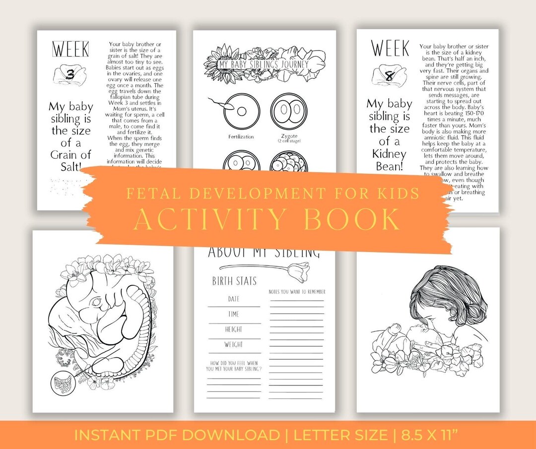Big Sibling Fetal Development Activity Book: Pregnancy Coloring ...