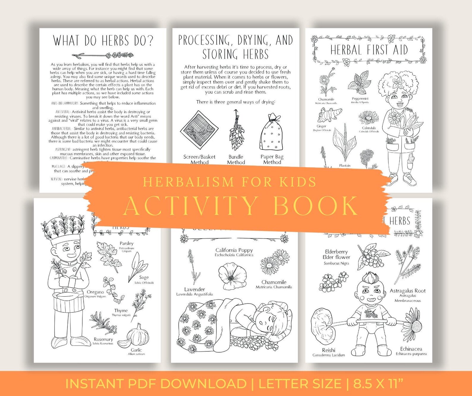 Herbal Allies Kids Activity Book | Learning Herbs | Herbal Homeschool ...
