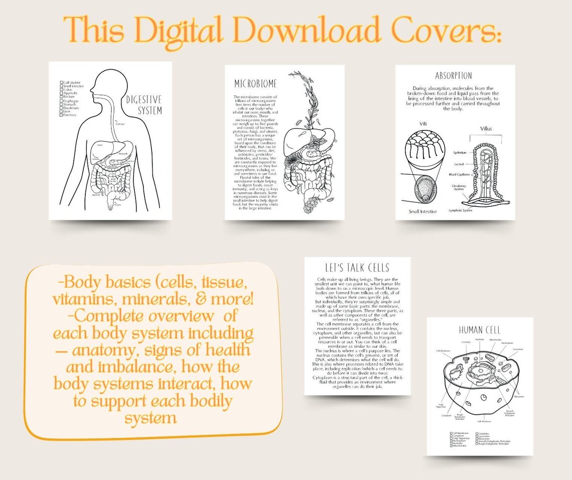 Holistic Human Anatomy Printable | Body Systems & Natural Healing ...