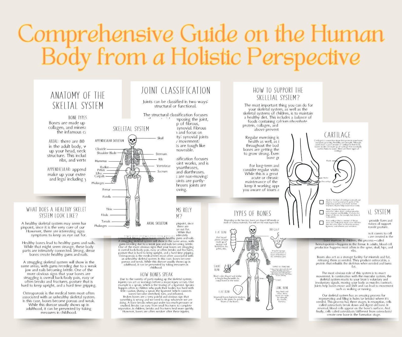 Holistic Human Anatomy Printable | Body Systems & Natural Healing ...