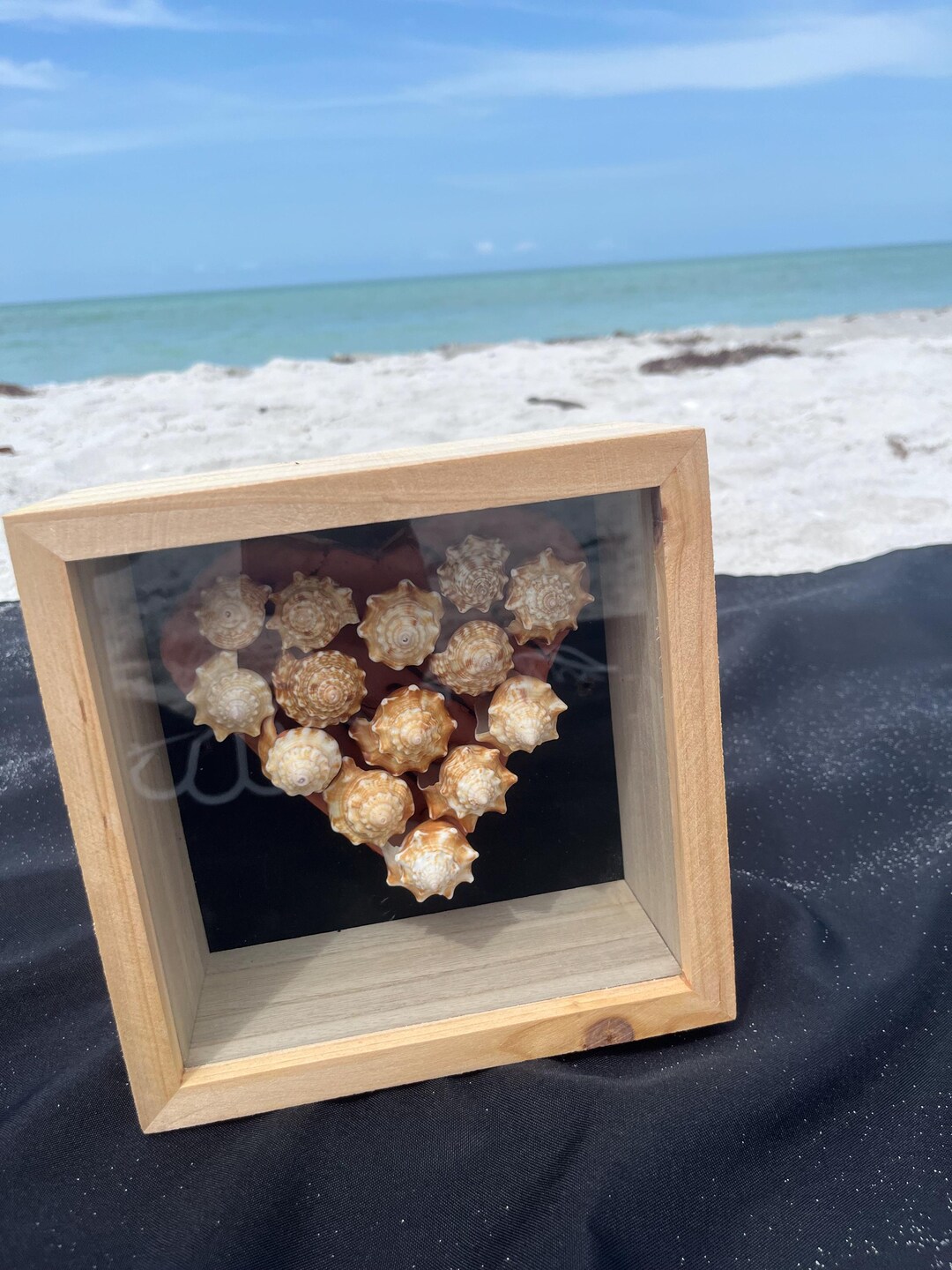 Heart Conch Shell Design in Deep Shadowbox - Etsy