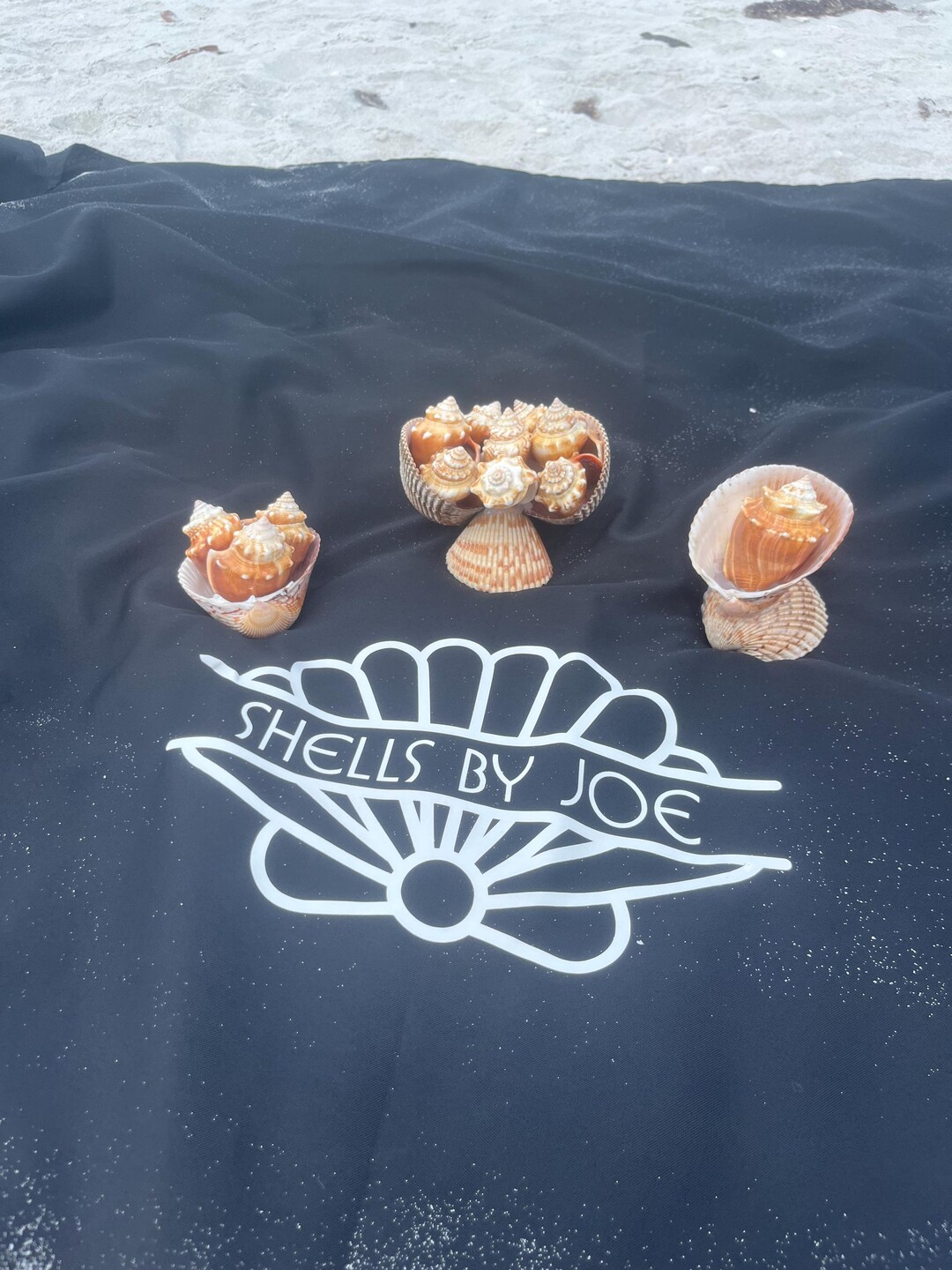 Fighting Conch Shell Design - Etsy