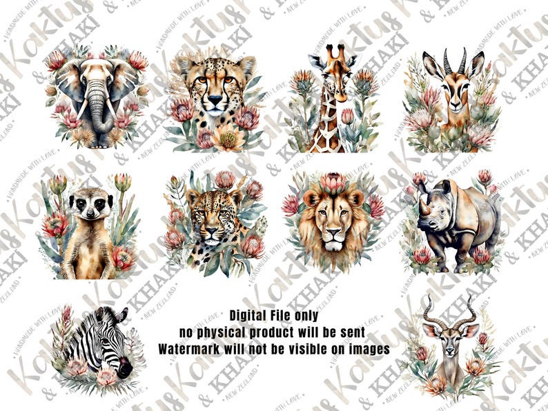 South African Safari Clipart Bundle: Animals & Floral PNG (digital ...