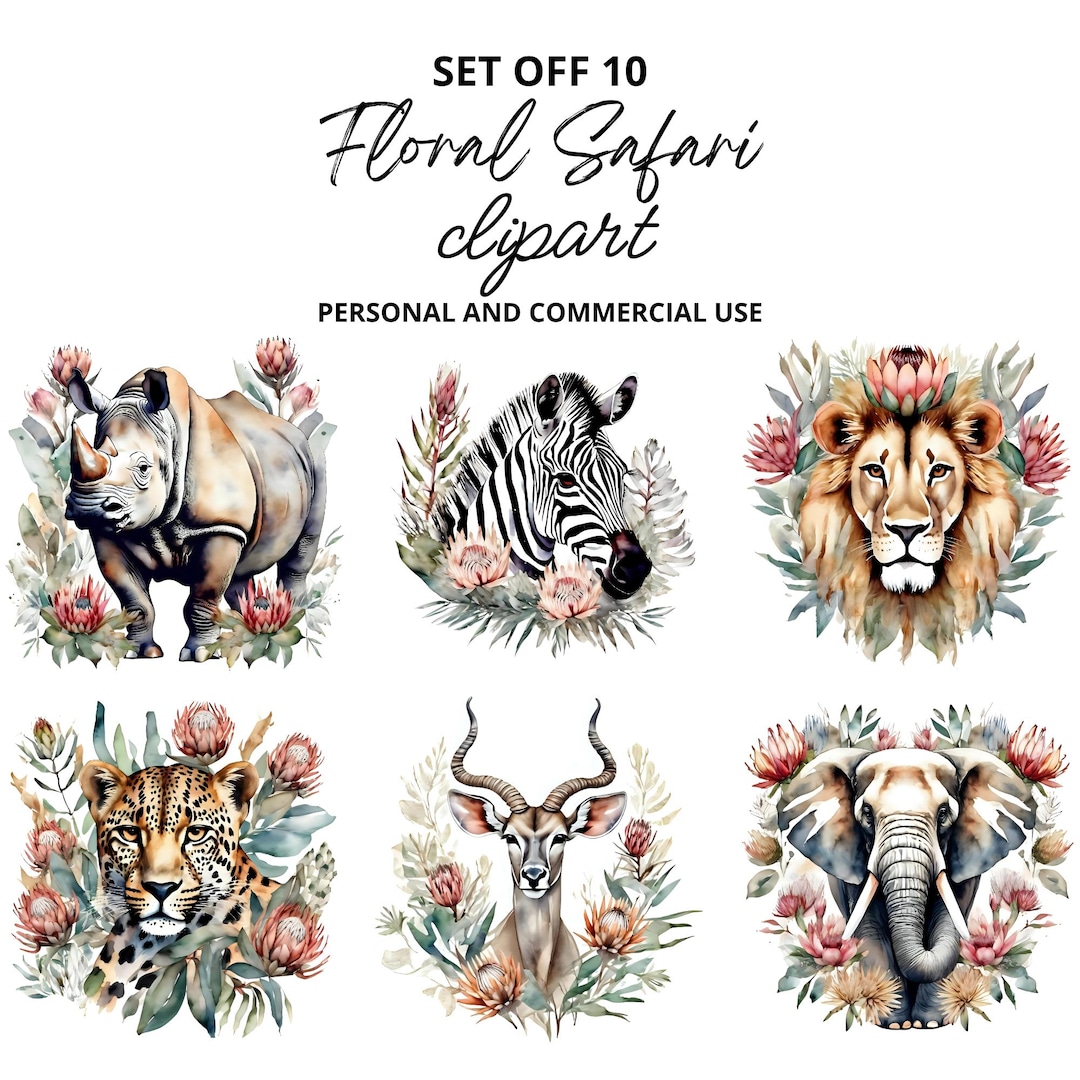 South African Safari Clipart Bundle: Animals & Floral PNG (digital ...