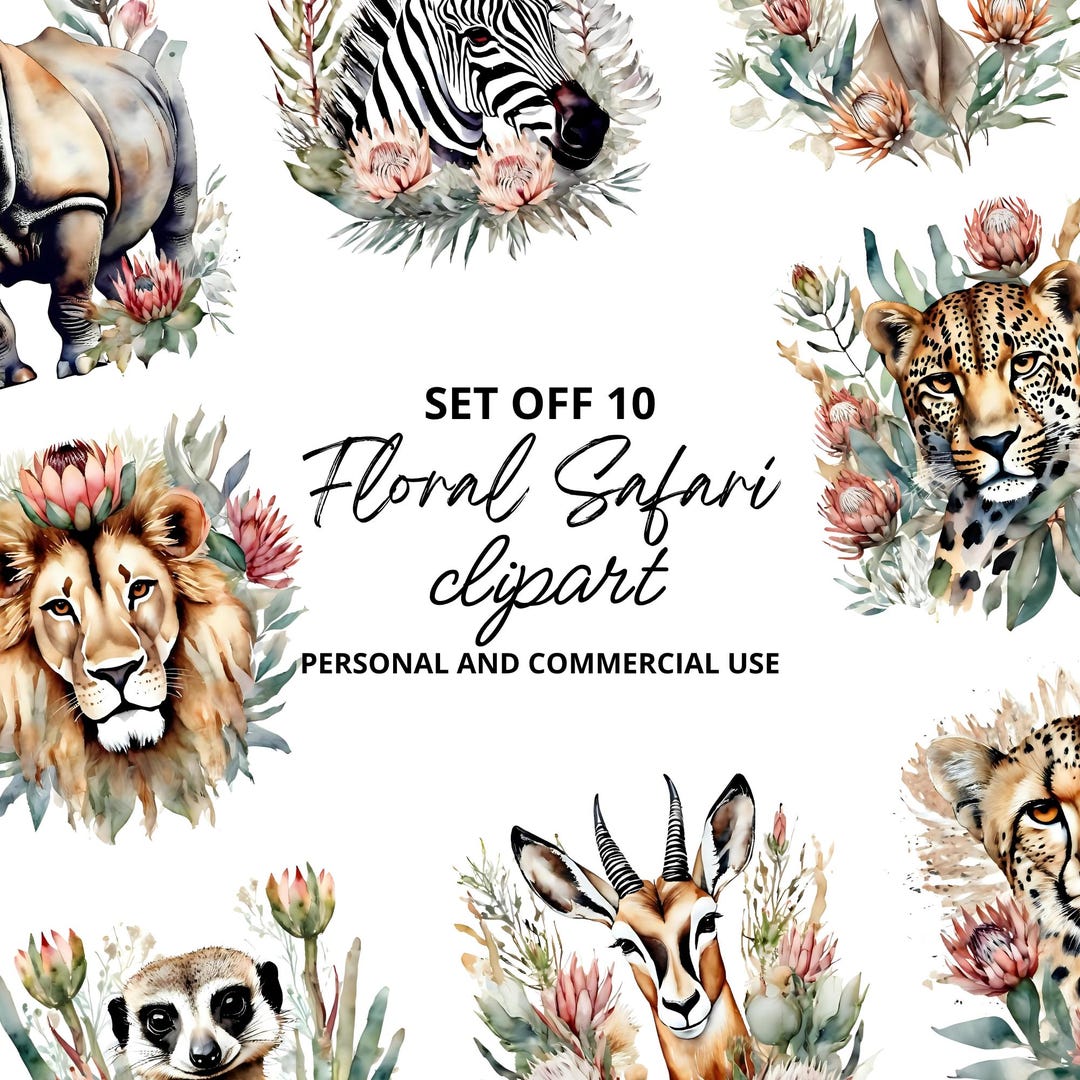 South African Safari Clipart Bundle: Animals & Floral PNG (digital ...