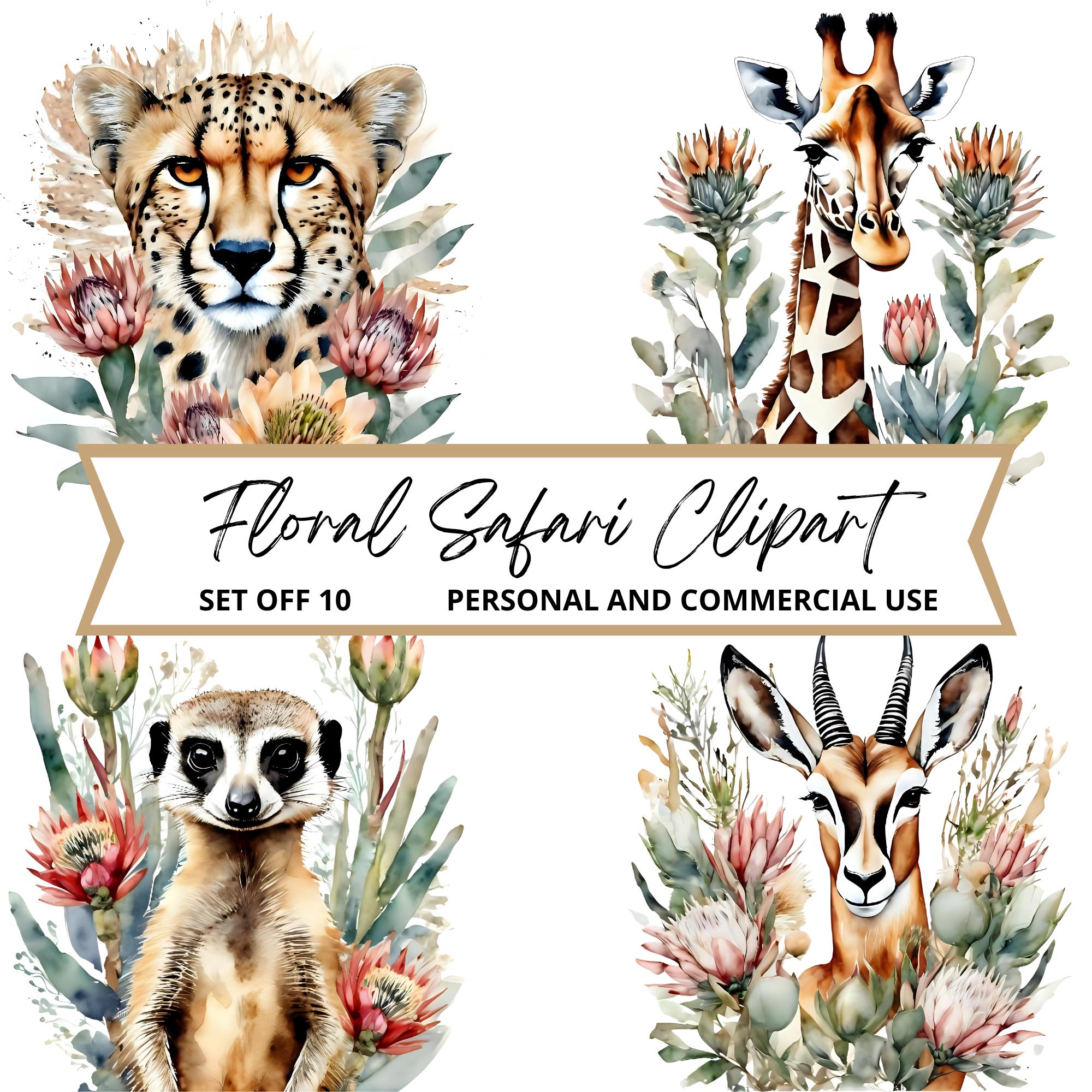 South African Safari Clipart Bundle: Animals & Floral PNG (digital ...