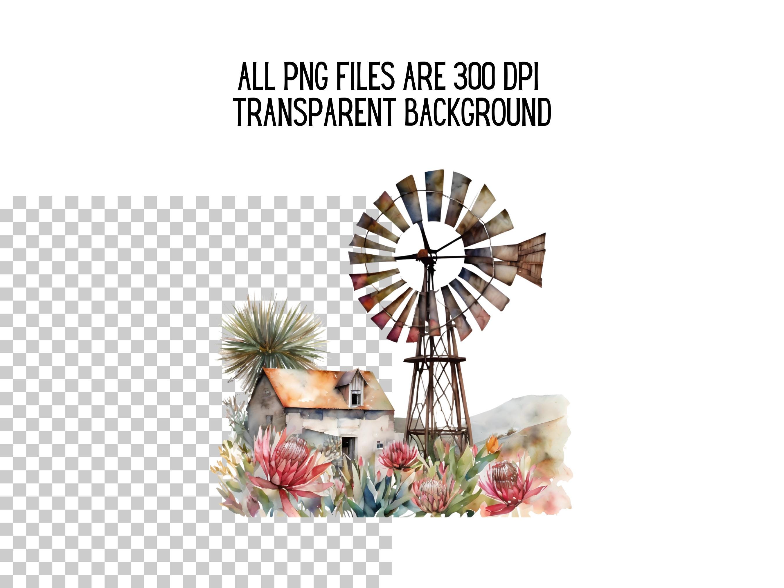 Protea Windmill Clipart Bundle | 10 Rustic Floral Pngs | South African ...