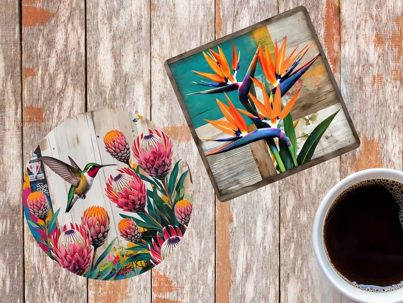 South African Coaster Clipart Bundle: African Wildlife Designs (digital ...