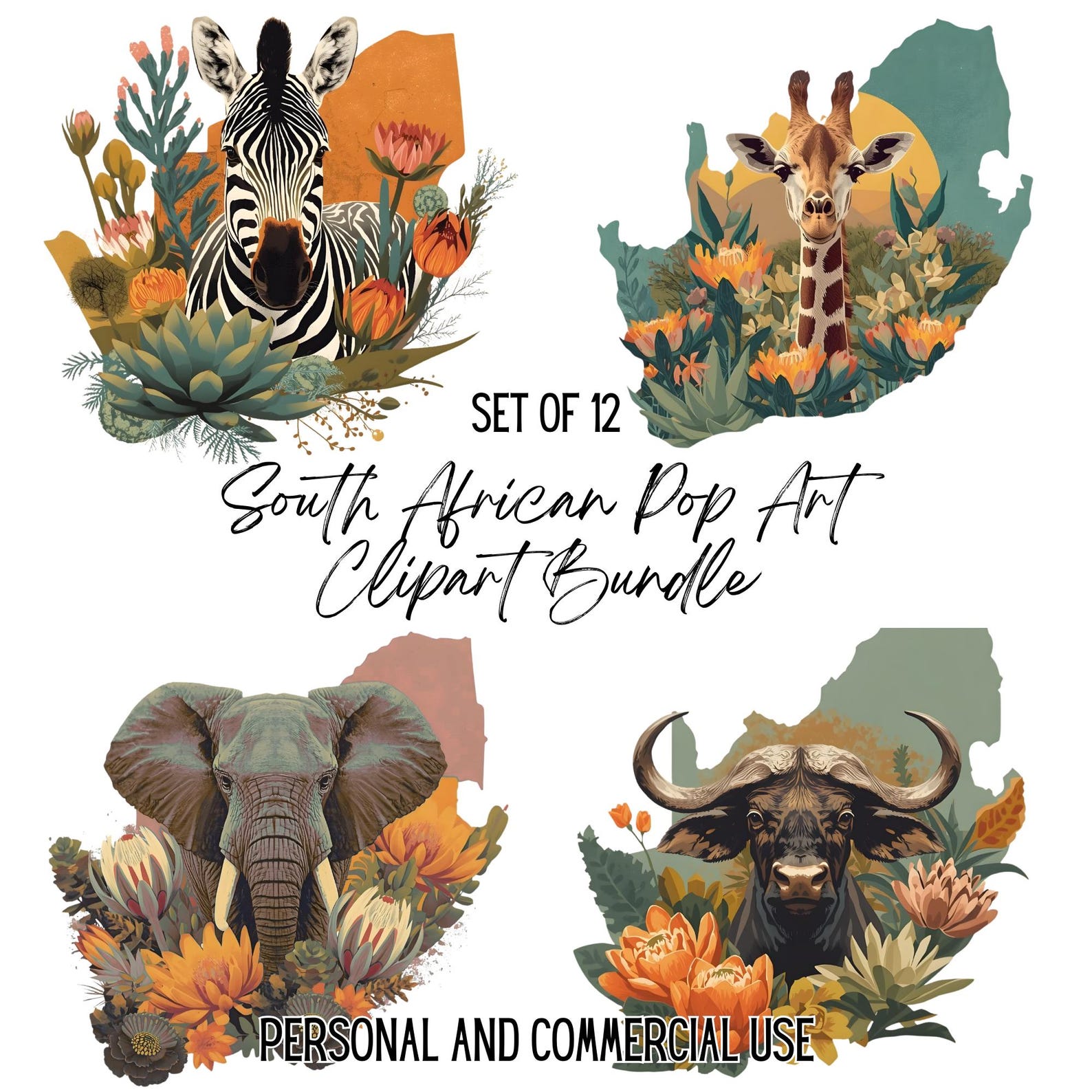 South African Pop Art Clipart Bundle | African Animals & Protea | Retro ...