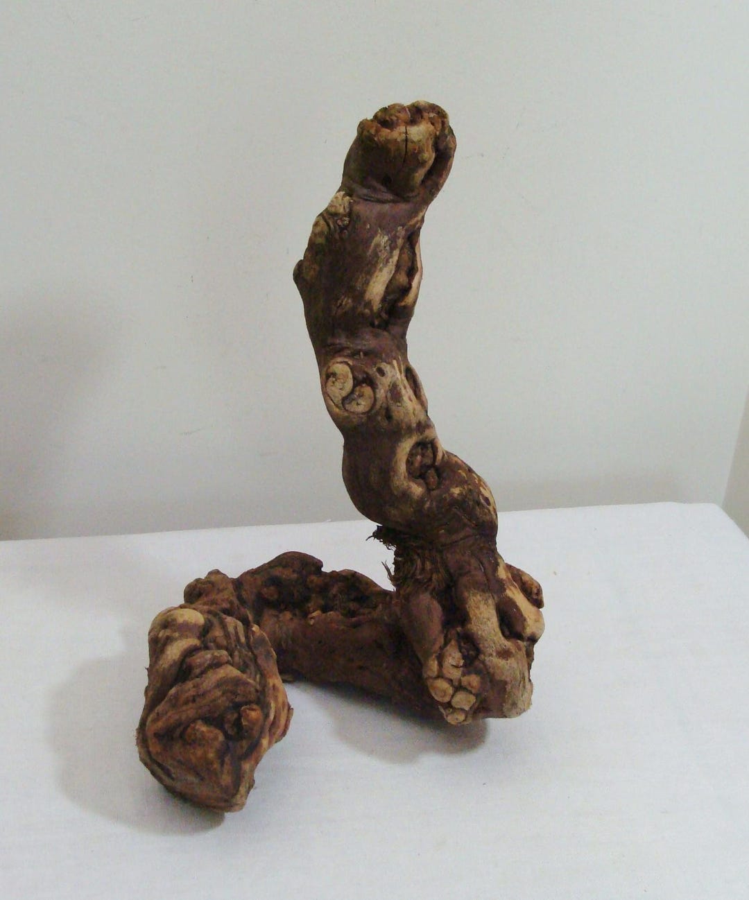 Vintage Natural Burl Root Wood Sculpture - Etsy