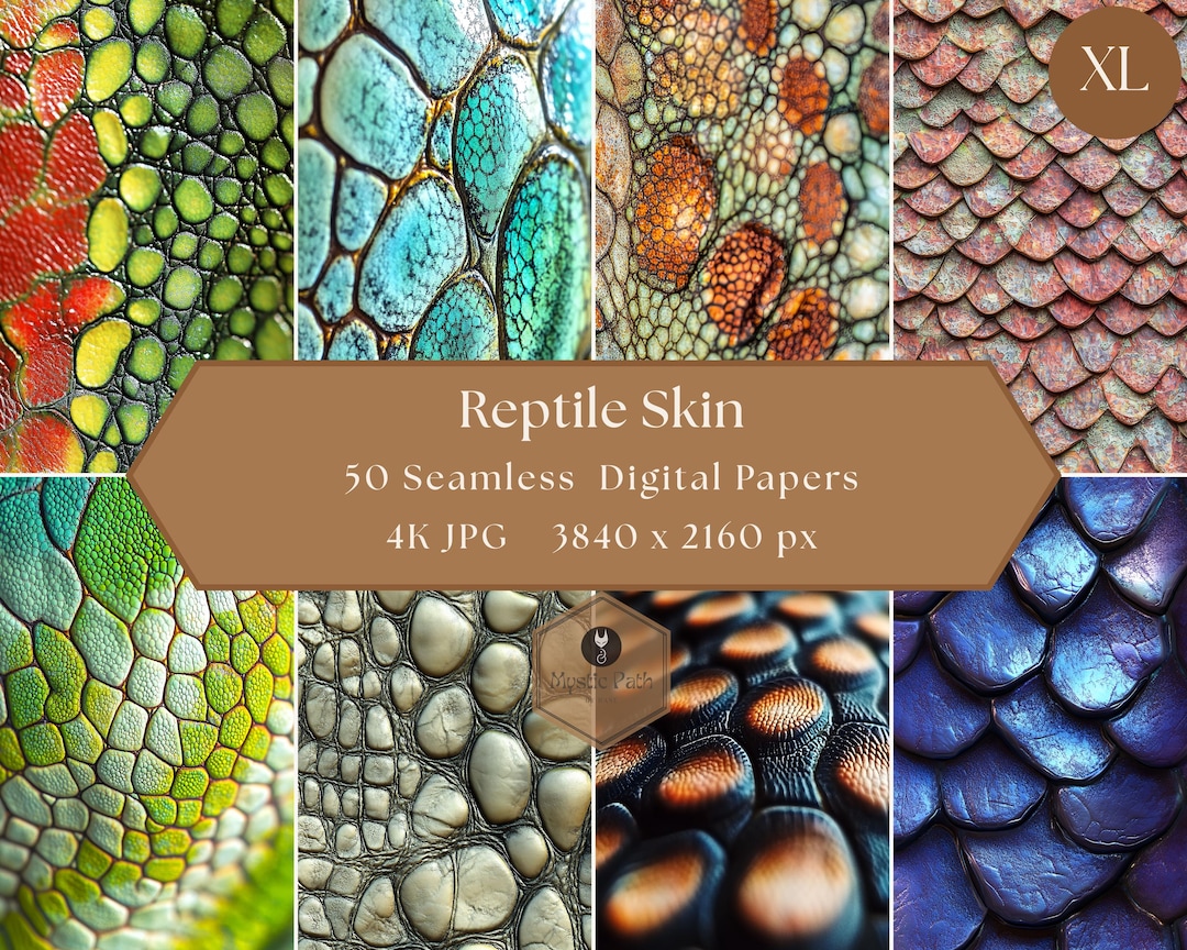Realistic Reptile Skin Seamless Patterns Bundle 50 Designs | Snake ...