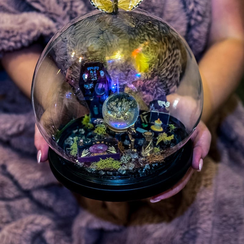 Moss Ball Terrarium - Etsy